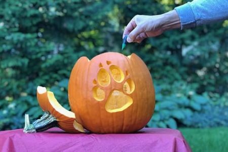 Exploding Pumpkin | Halloween Science