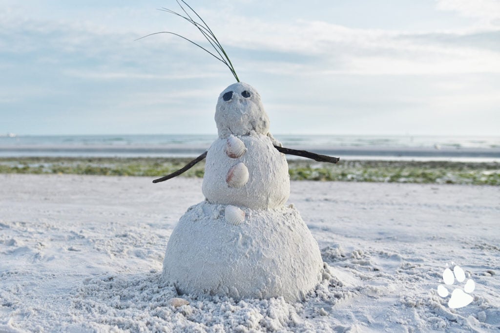 How to Build a Snowman: Tips & Guide | Great Wolf Lodge