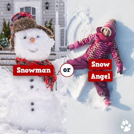 Winter Would You Rather Questions for Kids