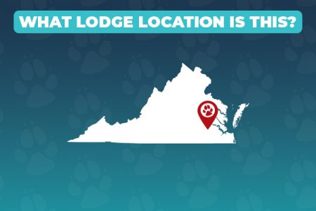 National Read a Road Map Day | Family Road Trip Games | Great Wolf Lodge