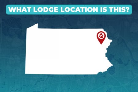 National Read a Road Map Day | Family Road Trip Games | Great Wolf Lodge